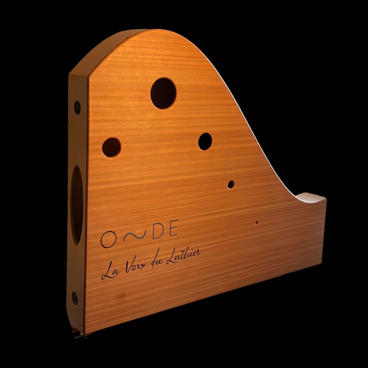 La Voix du Luthier | 3D auditory space acoustic resonators for ...