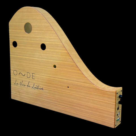 La Voix du Luthier | 3D auditory space acoustic resonators for ...